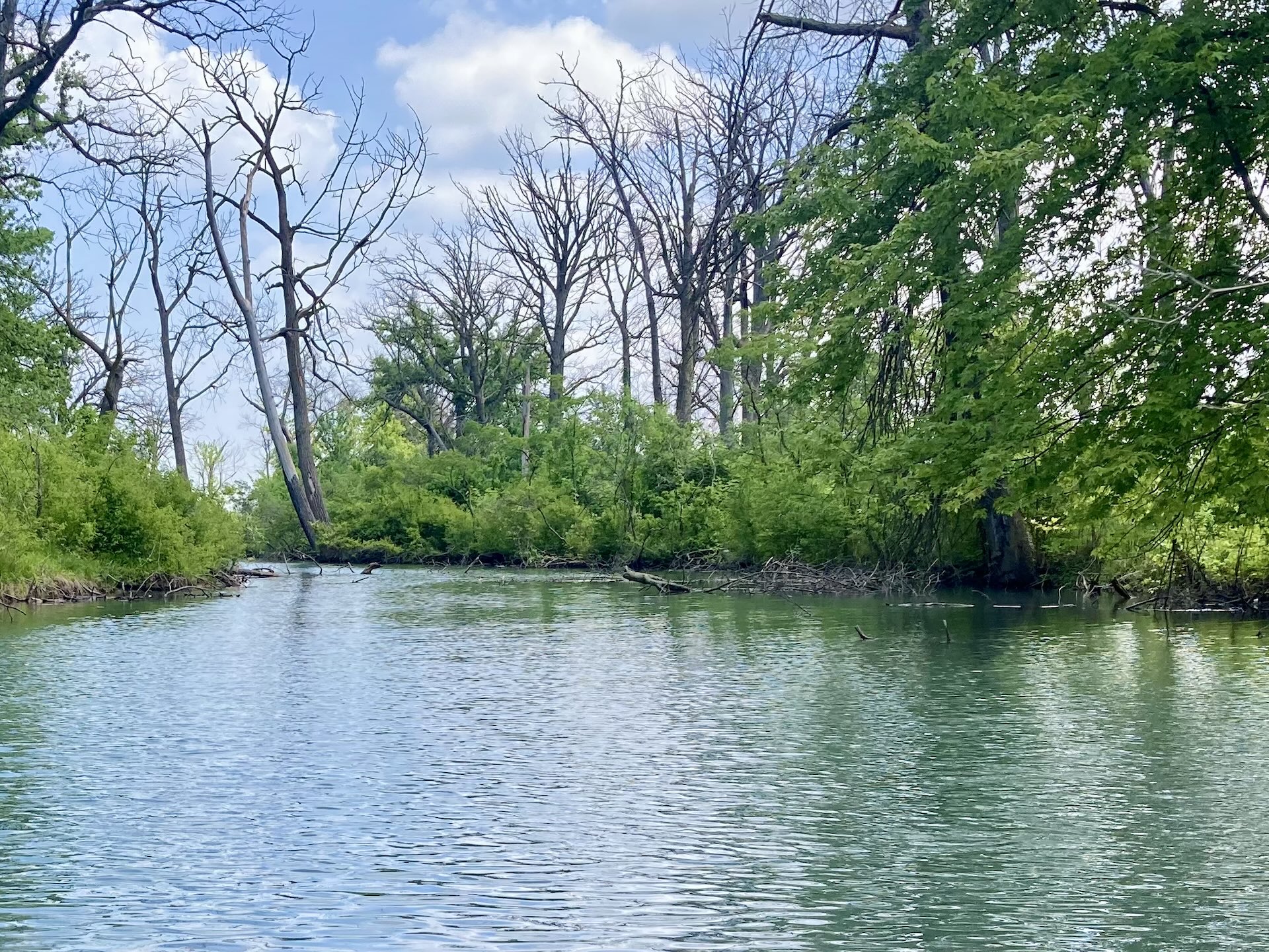 The Fourth Noble Truth—and Wondering if We Have to Believe in Rebirth ...